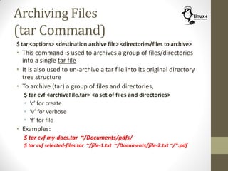 Course 102: Lecture 24: Archiving and Compression of Files | PDF