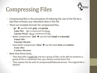 Course 102: Lecture 24: Archiving and Compression of Files | PDF