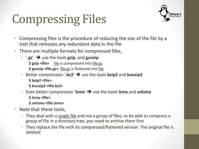 Course 102: Lecture 24: Archiving and Compression of Files | PDF
