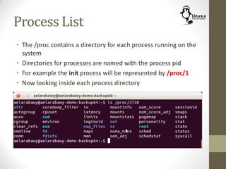 Course 102: Lecture 28: Virtual FileSystems | PDF