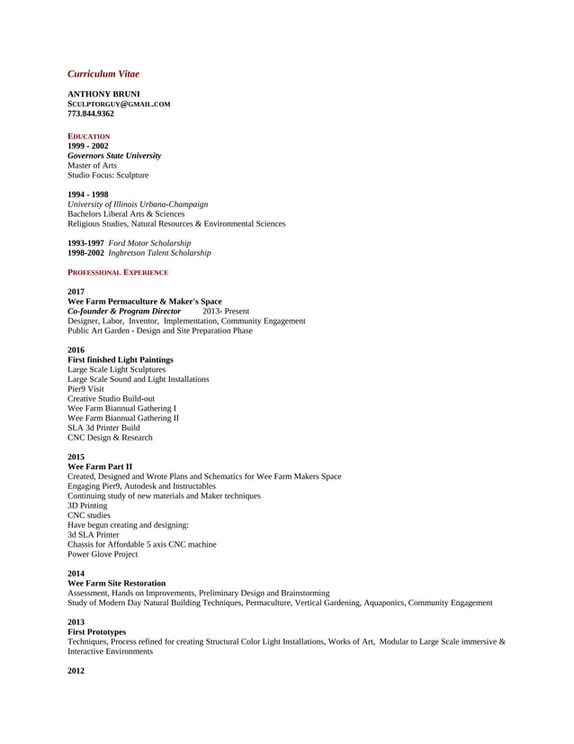 Curriculum Vitae AIC 12 03 16 Anthony Bruni | PDF