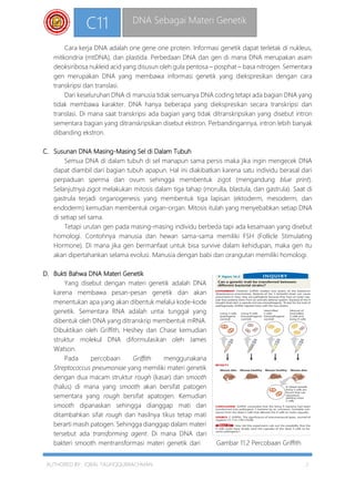 C11 DNA Sebagai Materi Genetik | PDF