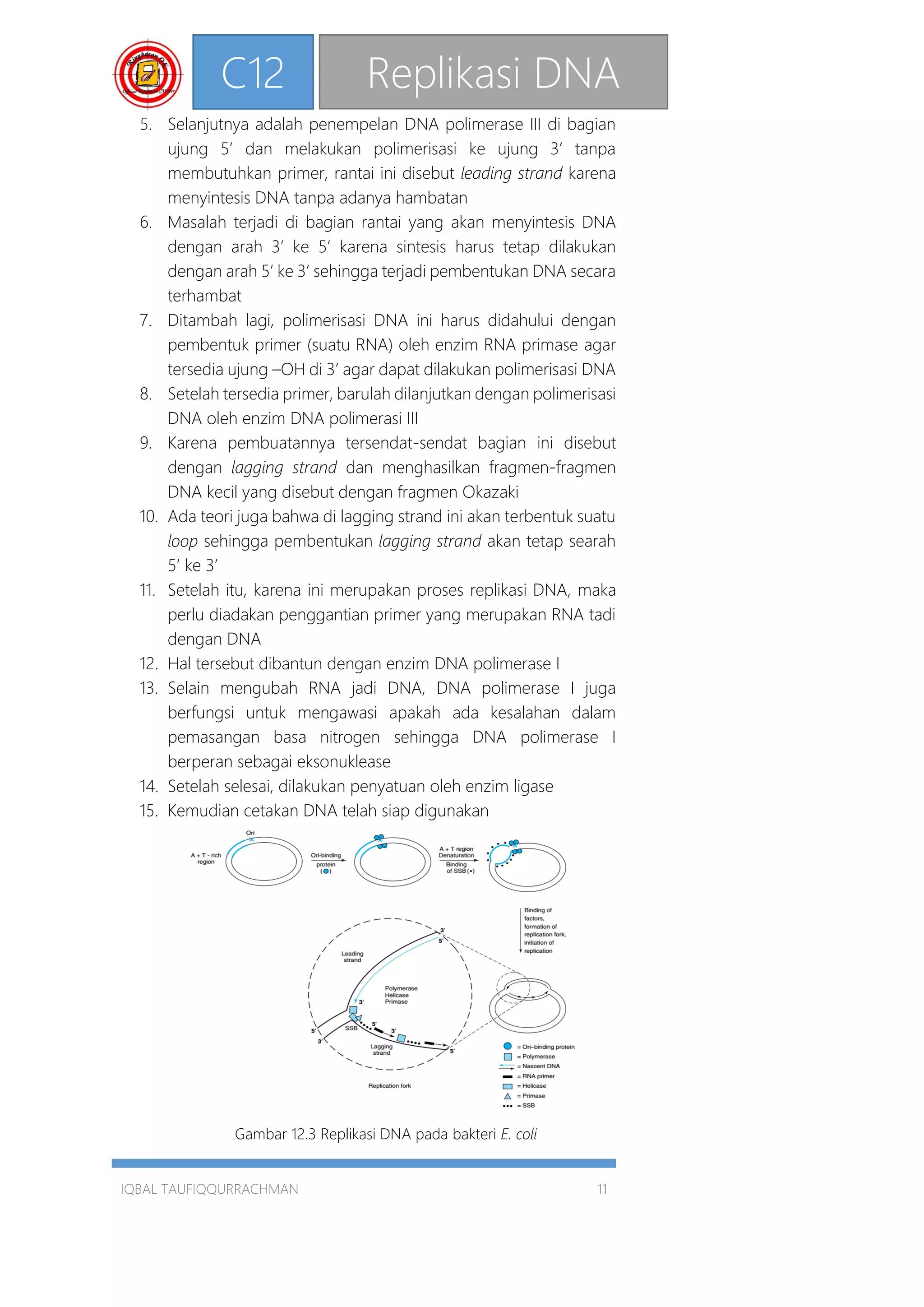 C12 Replikasi DNA | PDF