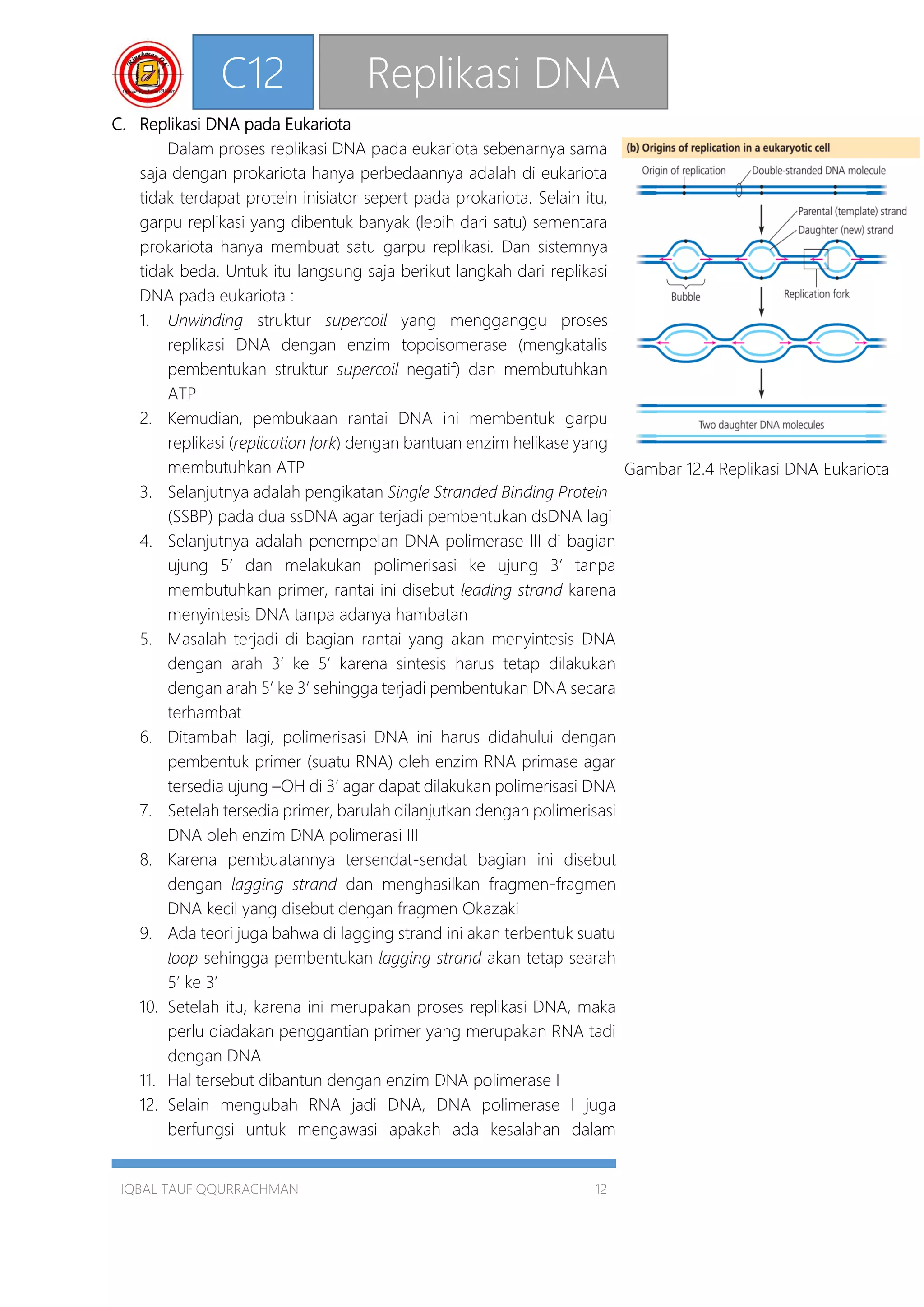 C12 Replikasi DNA | PDF