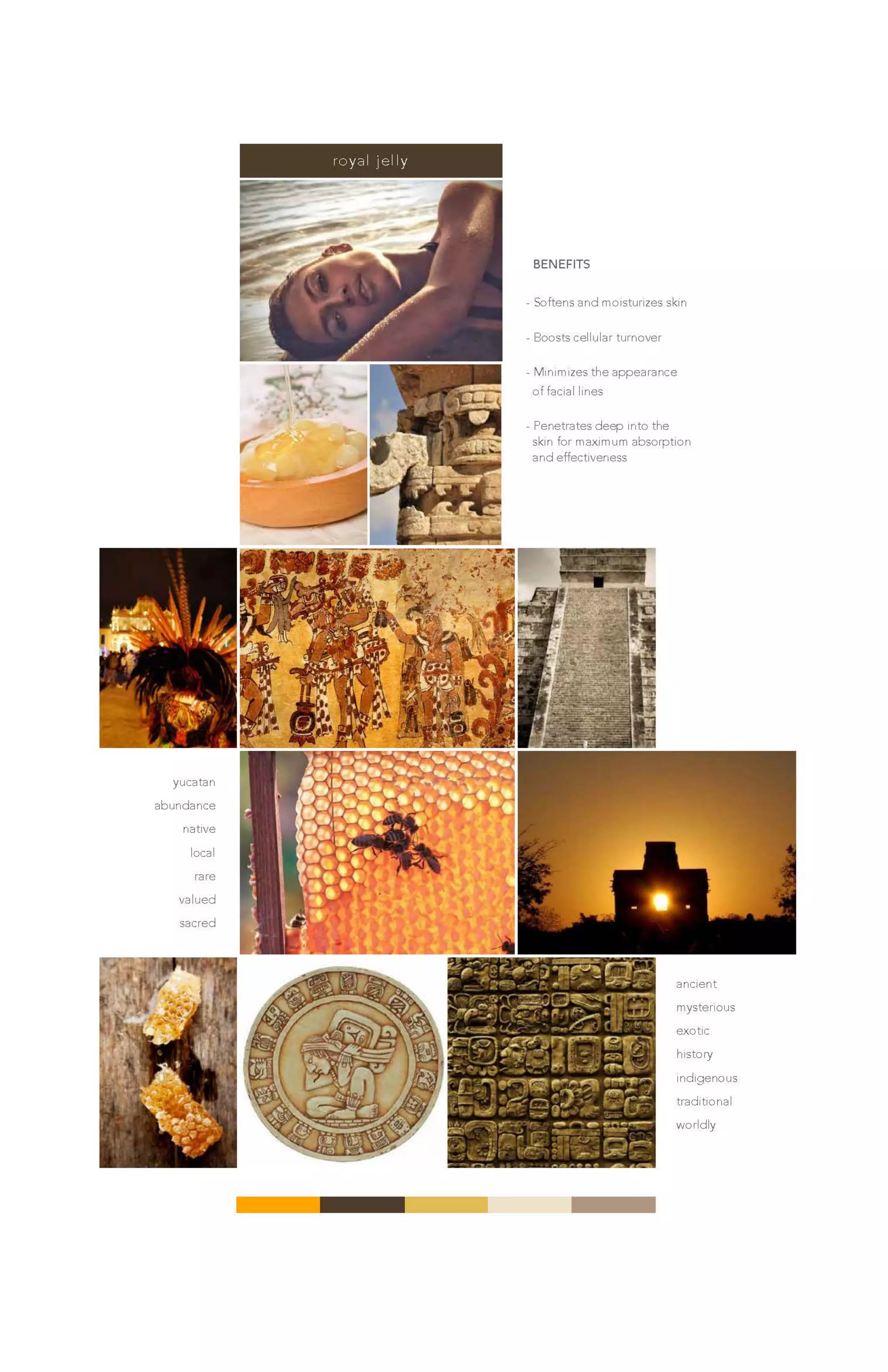 Fuller Royal Jelly - Behind the Brand | PDF