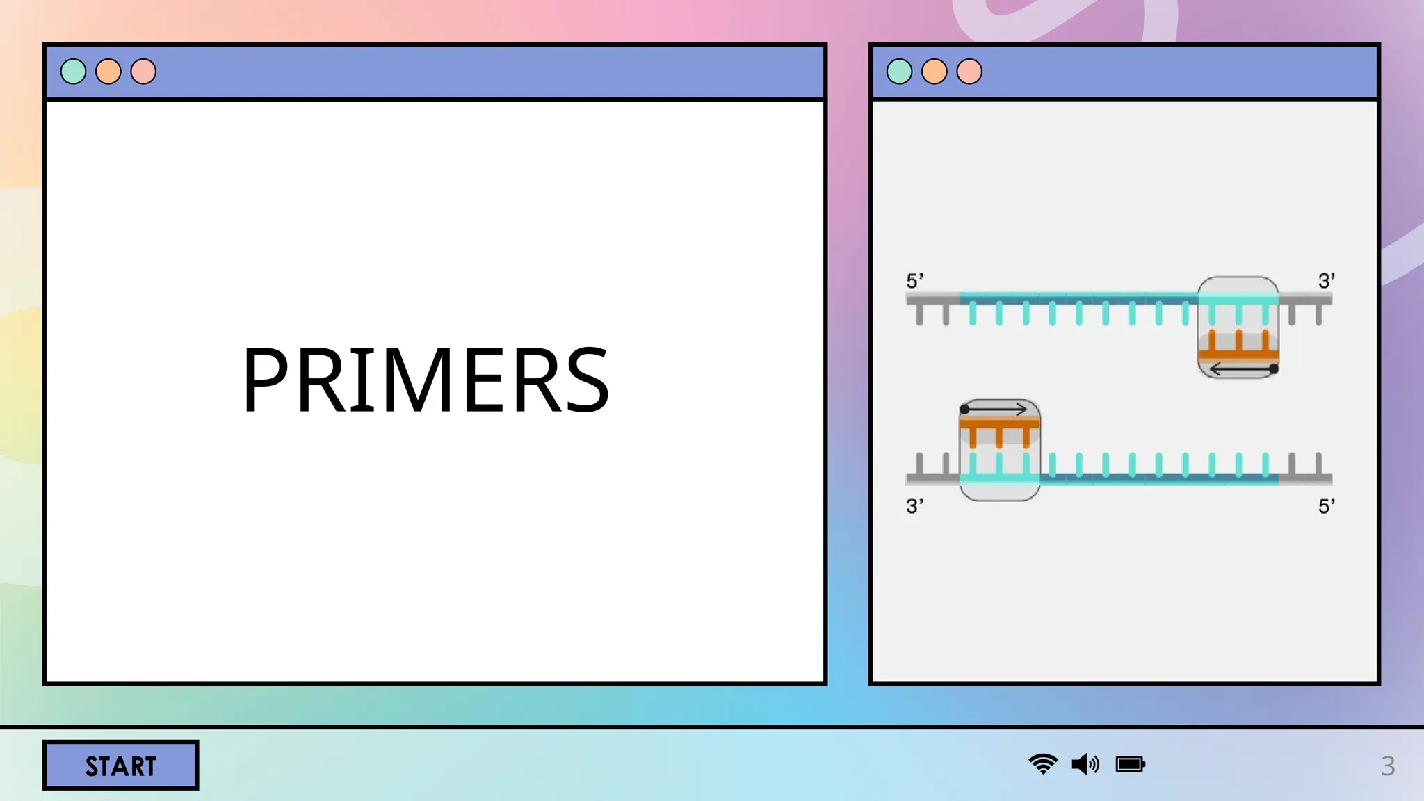Primers and nucleic acid probes in dna technology | PPTX