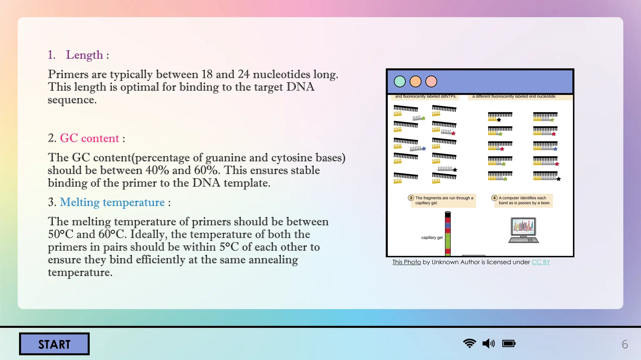 Primers and nucleic acid probes in dna technology | PPT