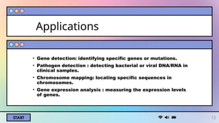 Primers and nucleic acid probes in dna technology | PPT