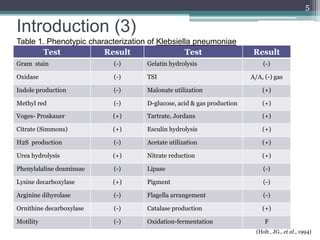 Klebsiella pneumoniae dairy | PPTX | Infectious Diseases | Diseases and ...