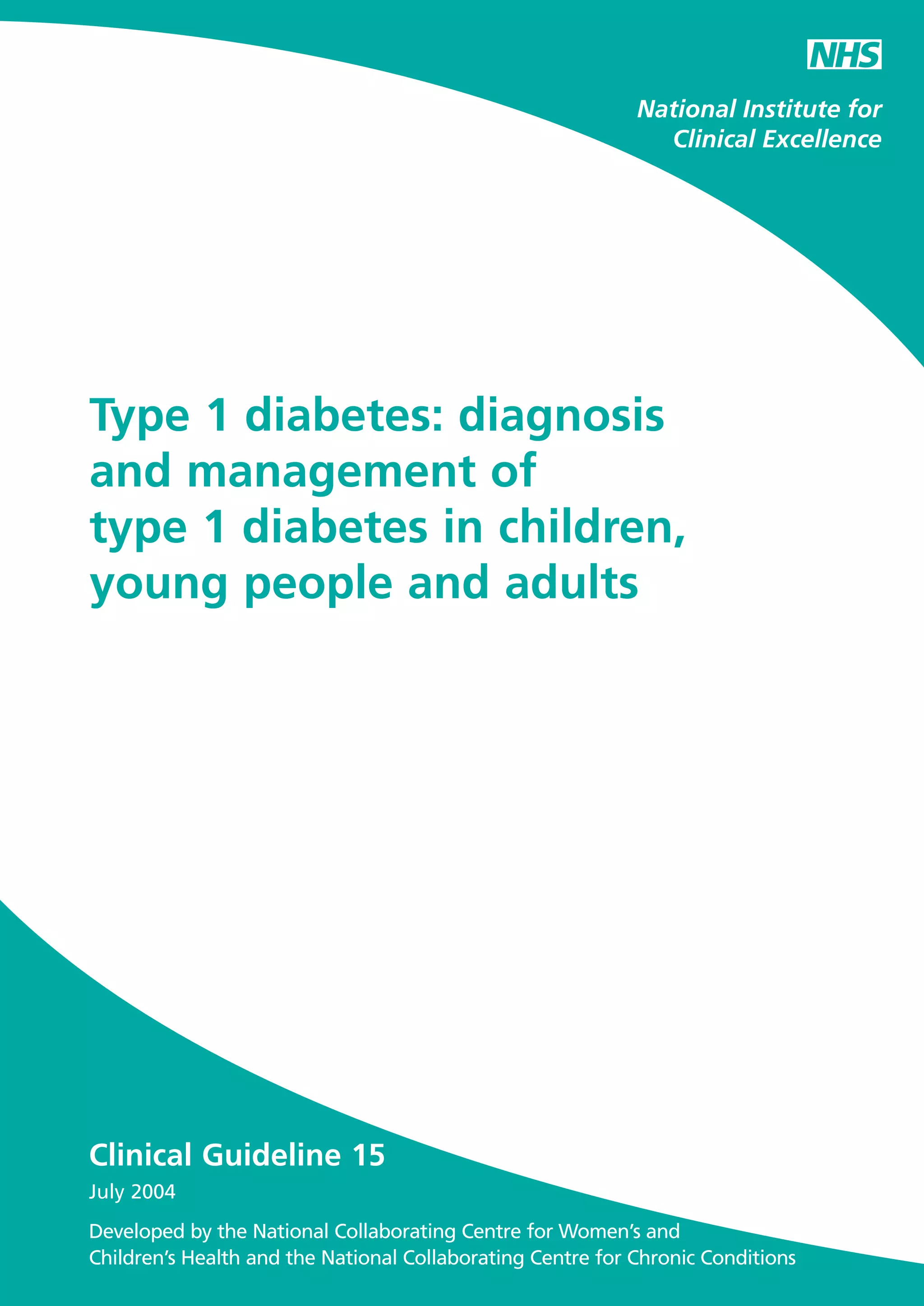 C13 nice type 1 2009 2010 | PDF