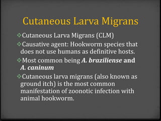 Cutaneous Larva Migrans Symptoms