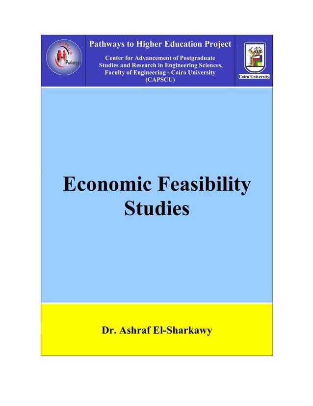C15 1 Feasibility Studies | PDF