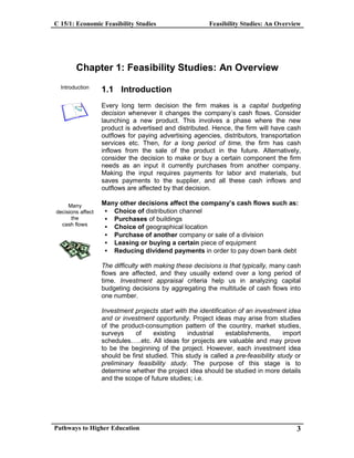 C15 1 Feasibility Studies | PDF