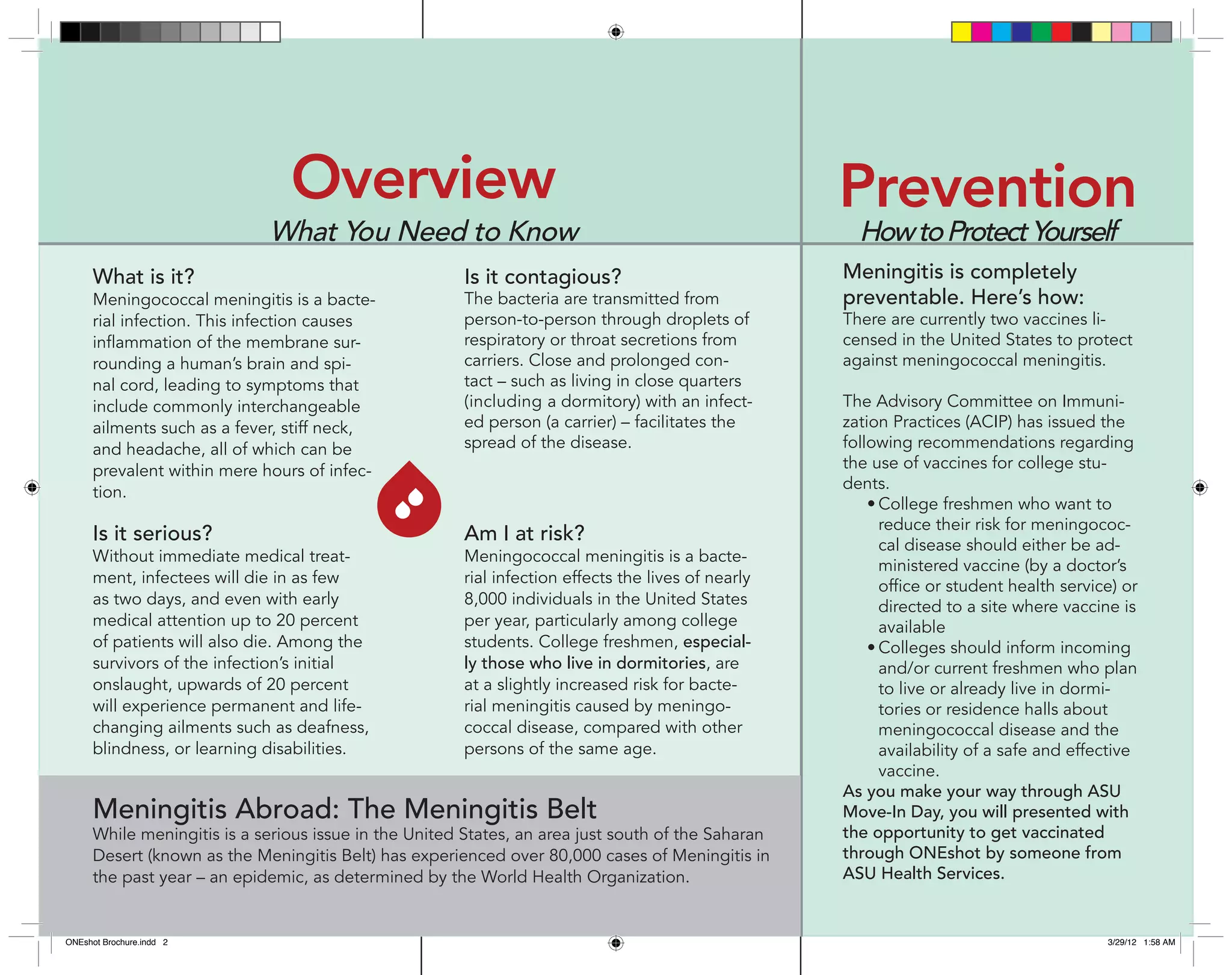 ONEshot Brochure | PDF