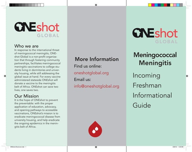 ONEshot Brochure | PPT