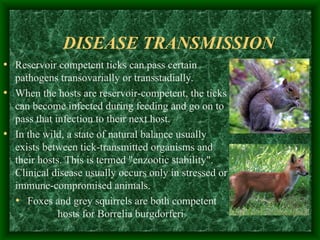 Understanding, Preventing, and Addressing the Risks of Tick-Borne ...