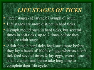 Understanding, Preventing, and Addressing the Risks of Tick-Borne ...