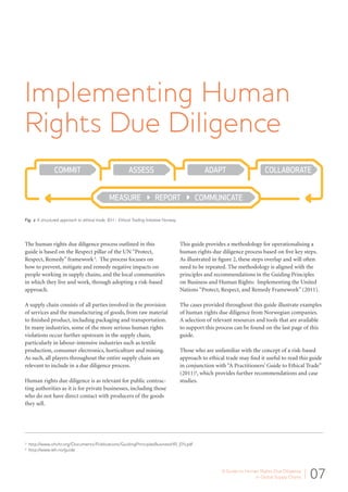 IEH_Due diligence_2013_web | PDF