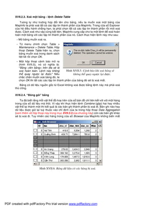 C17 cau truc_bang_map_info | PDF