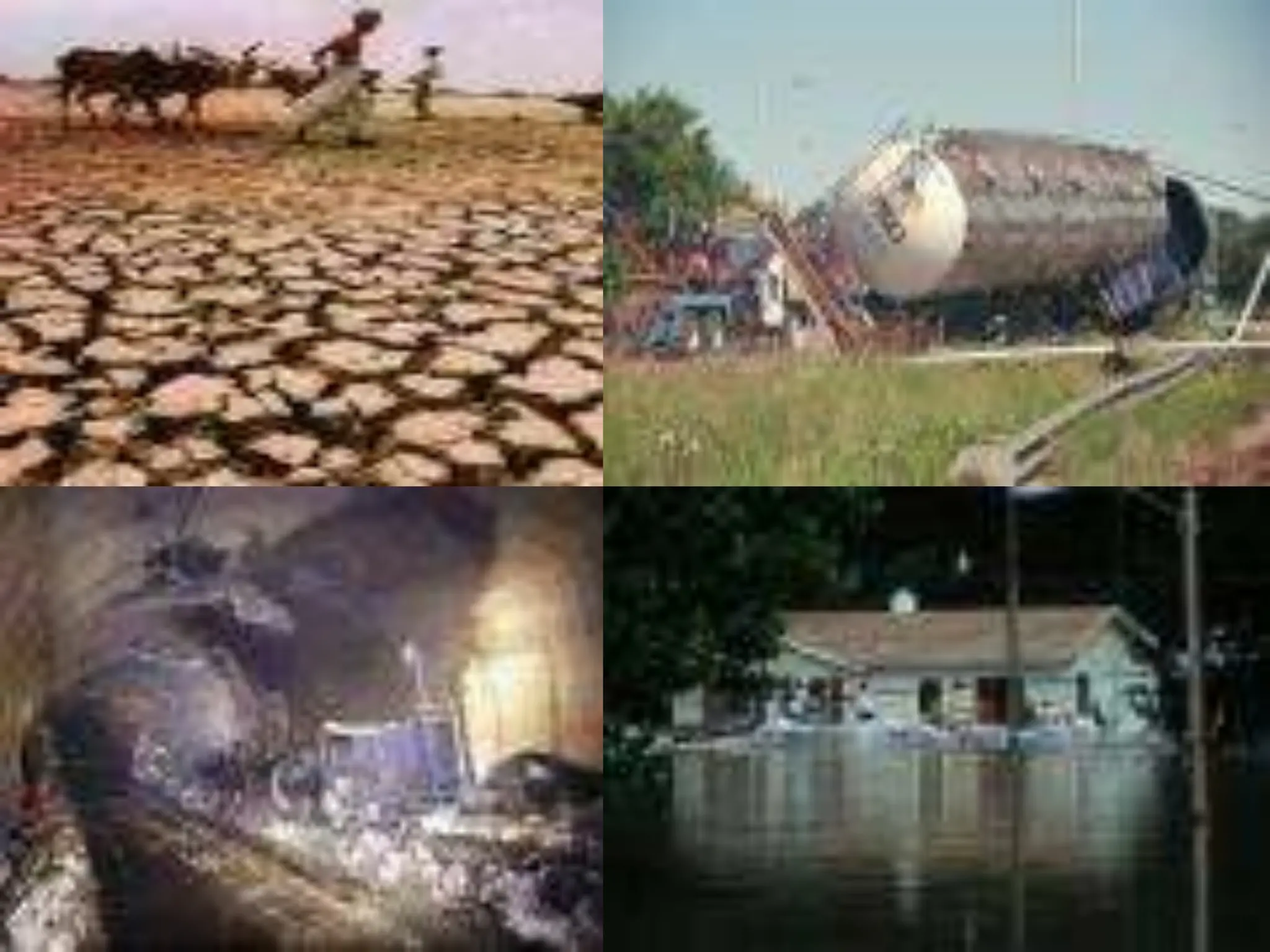 Different DISASTERS and it's management .ppt