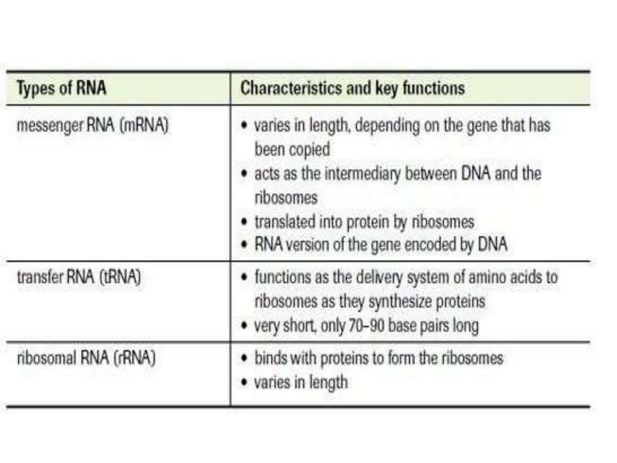 DNA , RNA basic structure and components | PPT