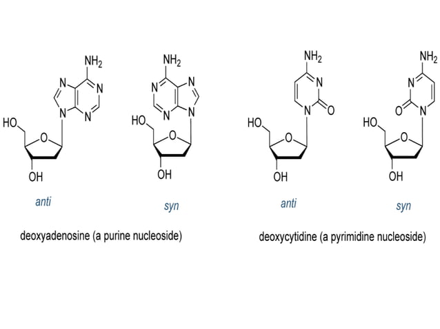 DNA , RNA basic structure and components | PPT