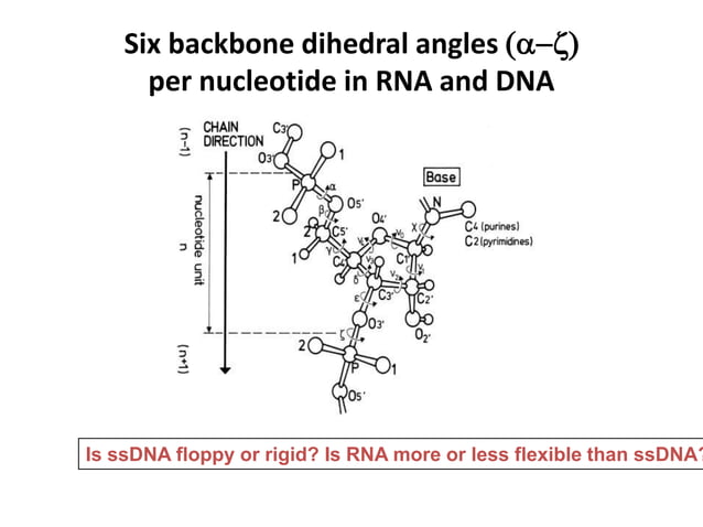 DNA , RNA basic structure and components | PPT