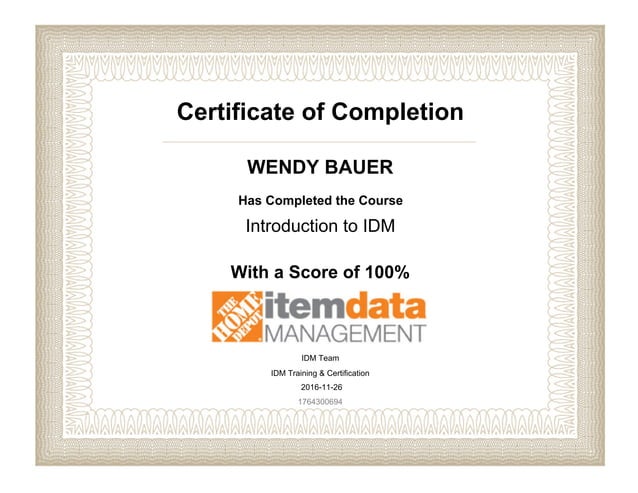 Introduction to IDM | PDF