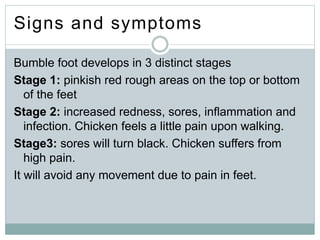 Common bacterial diseases in broilers | PPTX