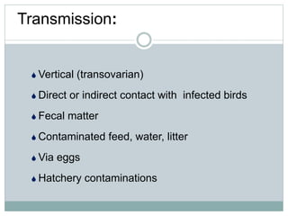 Common bacterial diseases in broilers | PPTX
