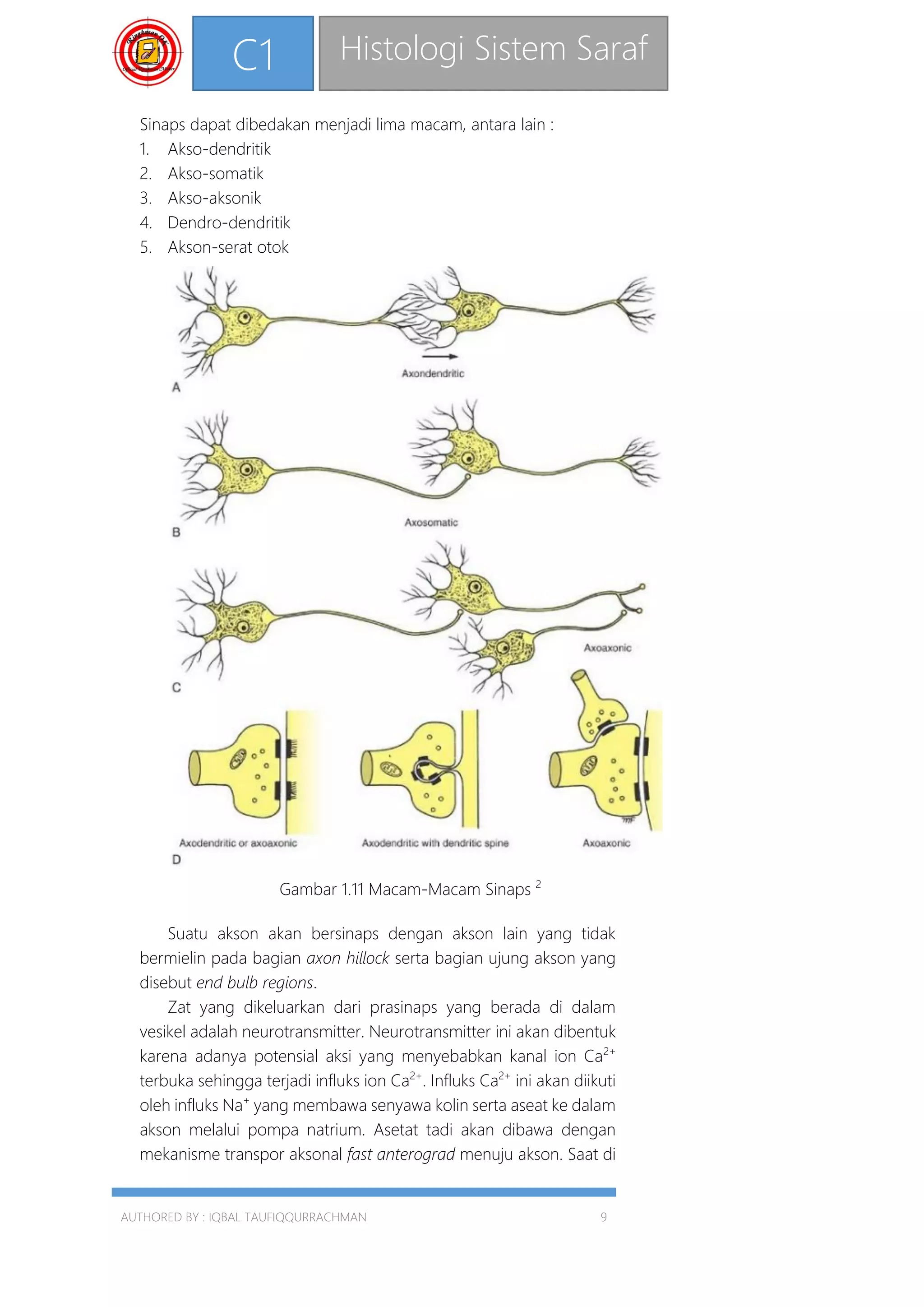C1 Histologi Sistem Saraf | PDF
