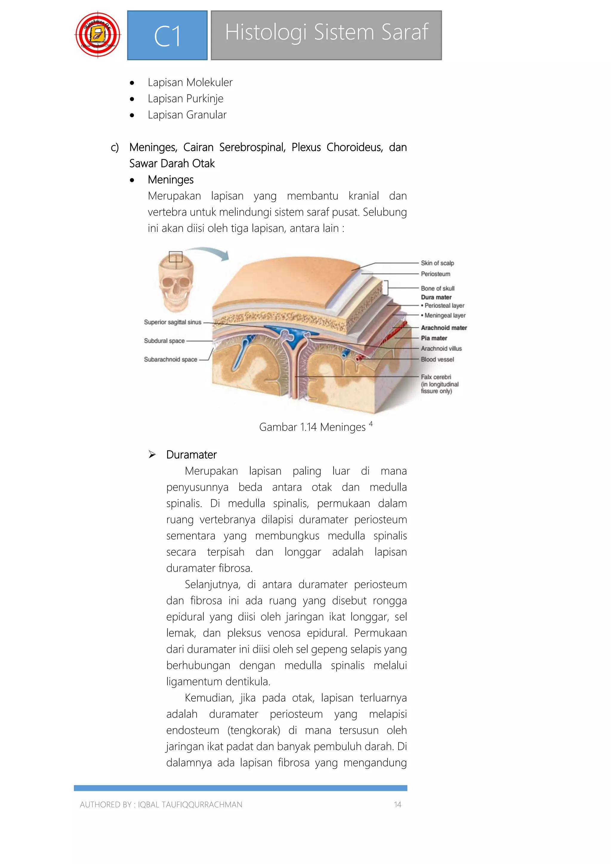 C1 Histologi Sistem Saraf | PDF