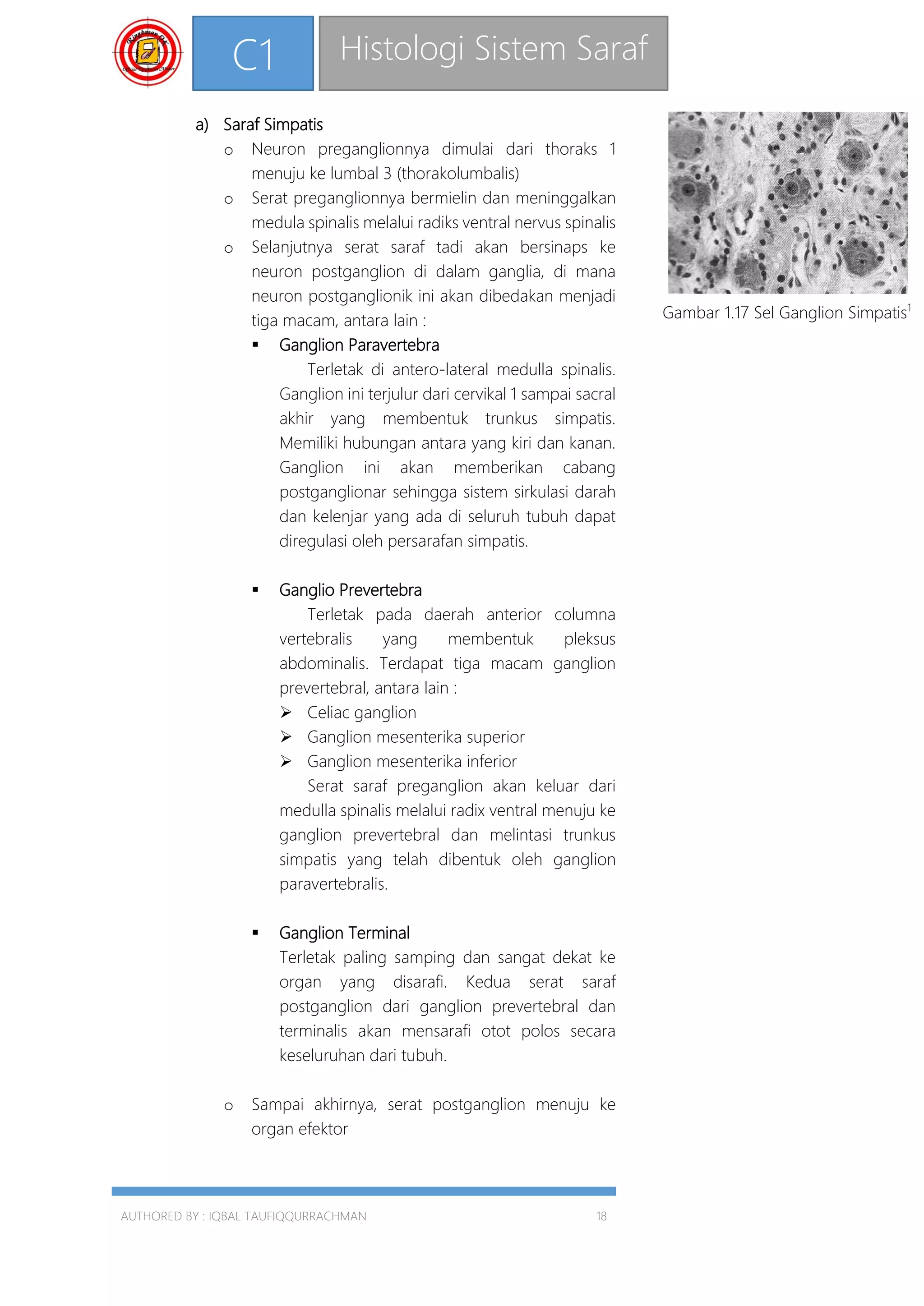 C1 Histologi Sistem Saraf | PDF
