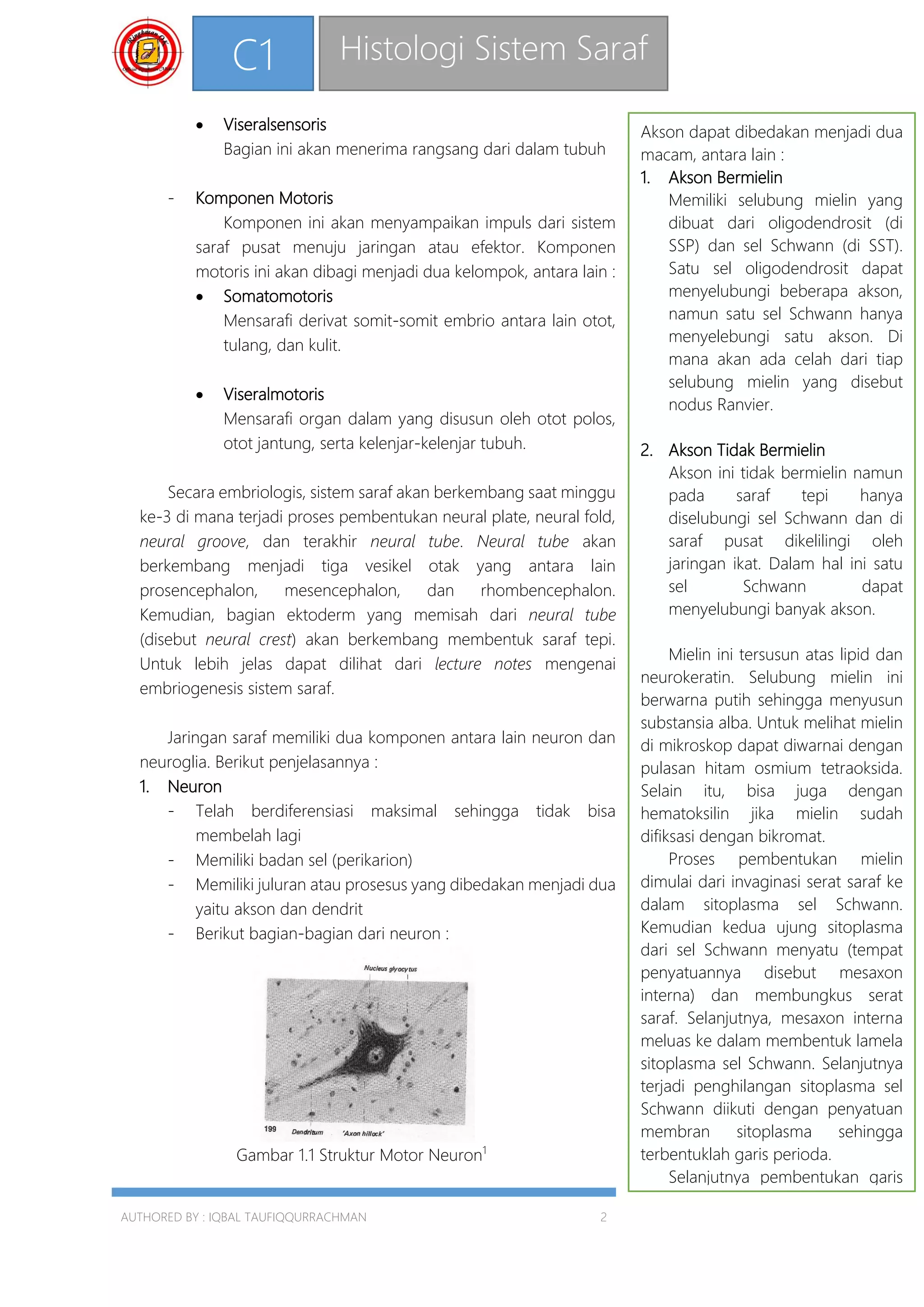 C1 Histologi Sistem Saraf | PDF