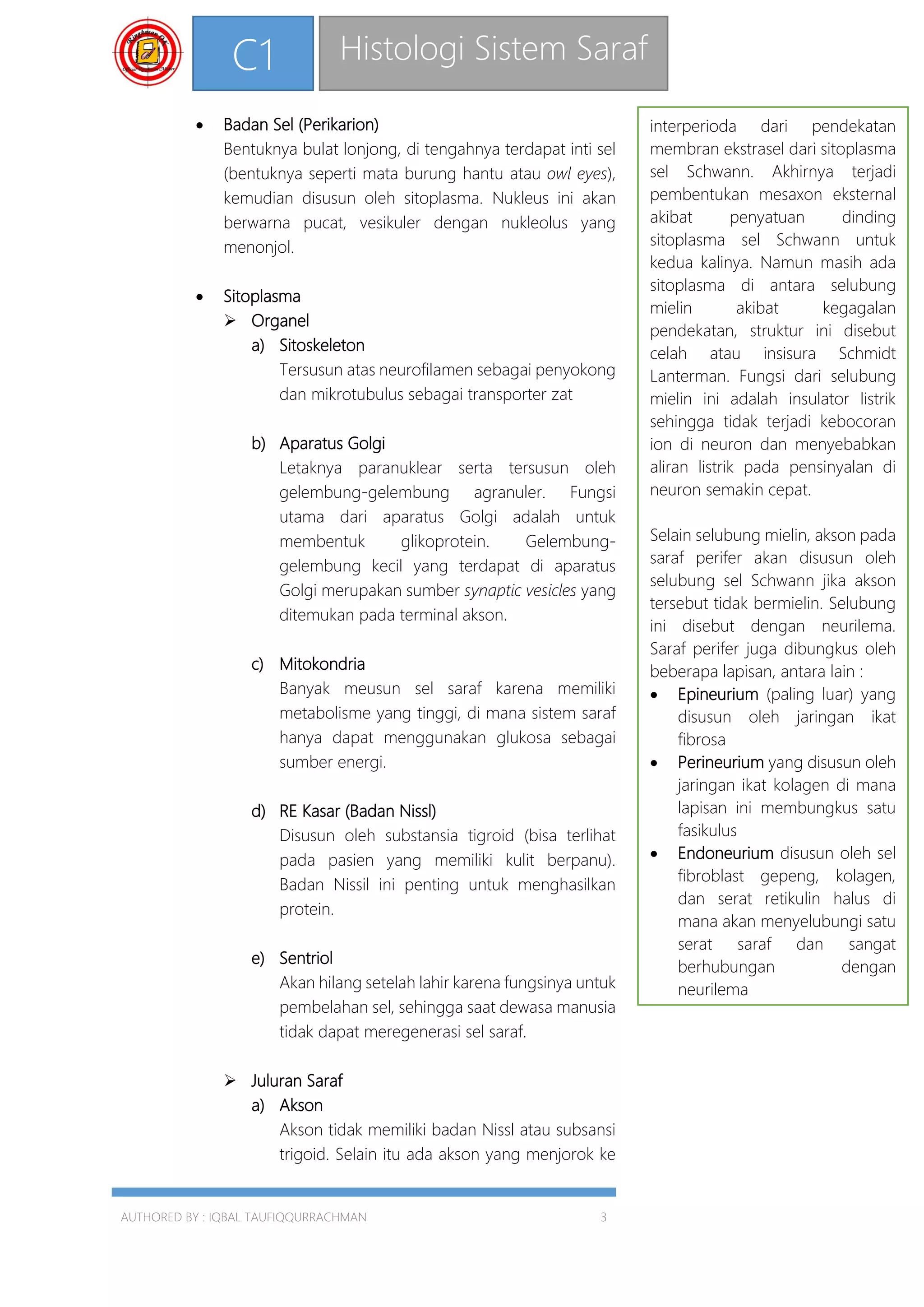 C1 Histologi Sistem Saraf | PDF
