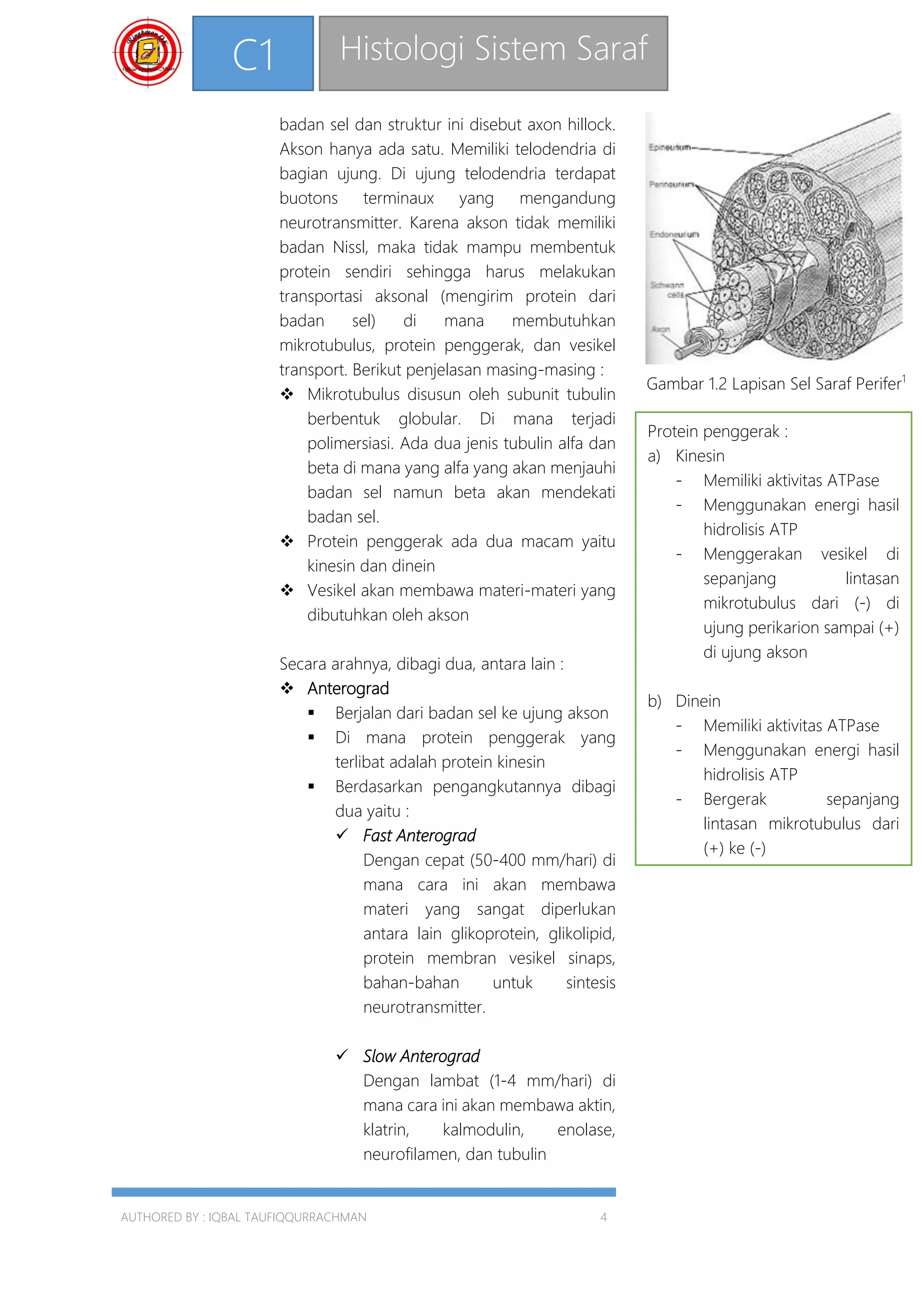 C1 Histologi Sistem Saraf | PDF