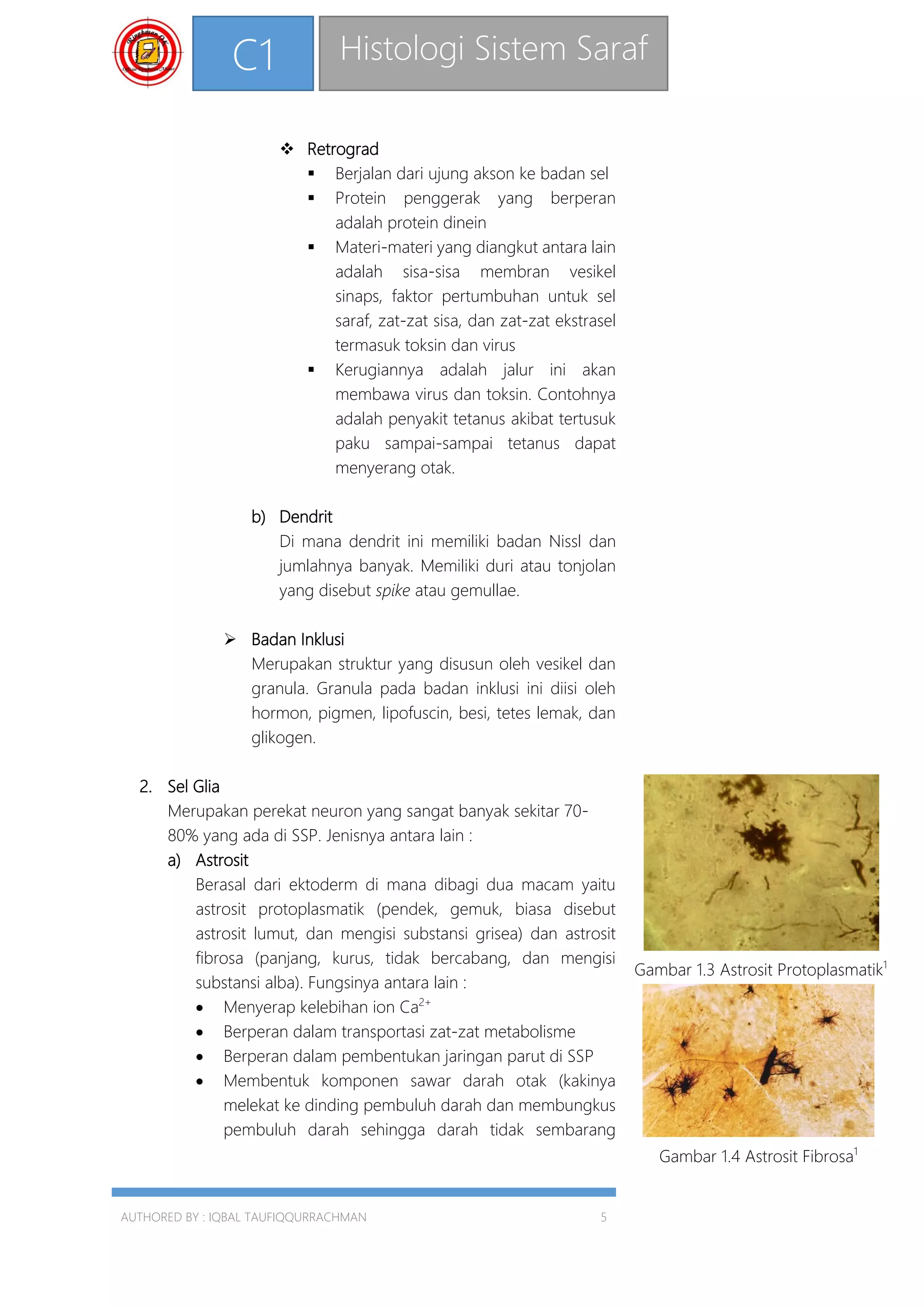C1 Histologi Sistem Saraf | PDF