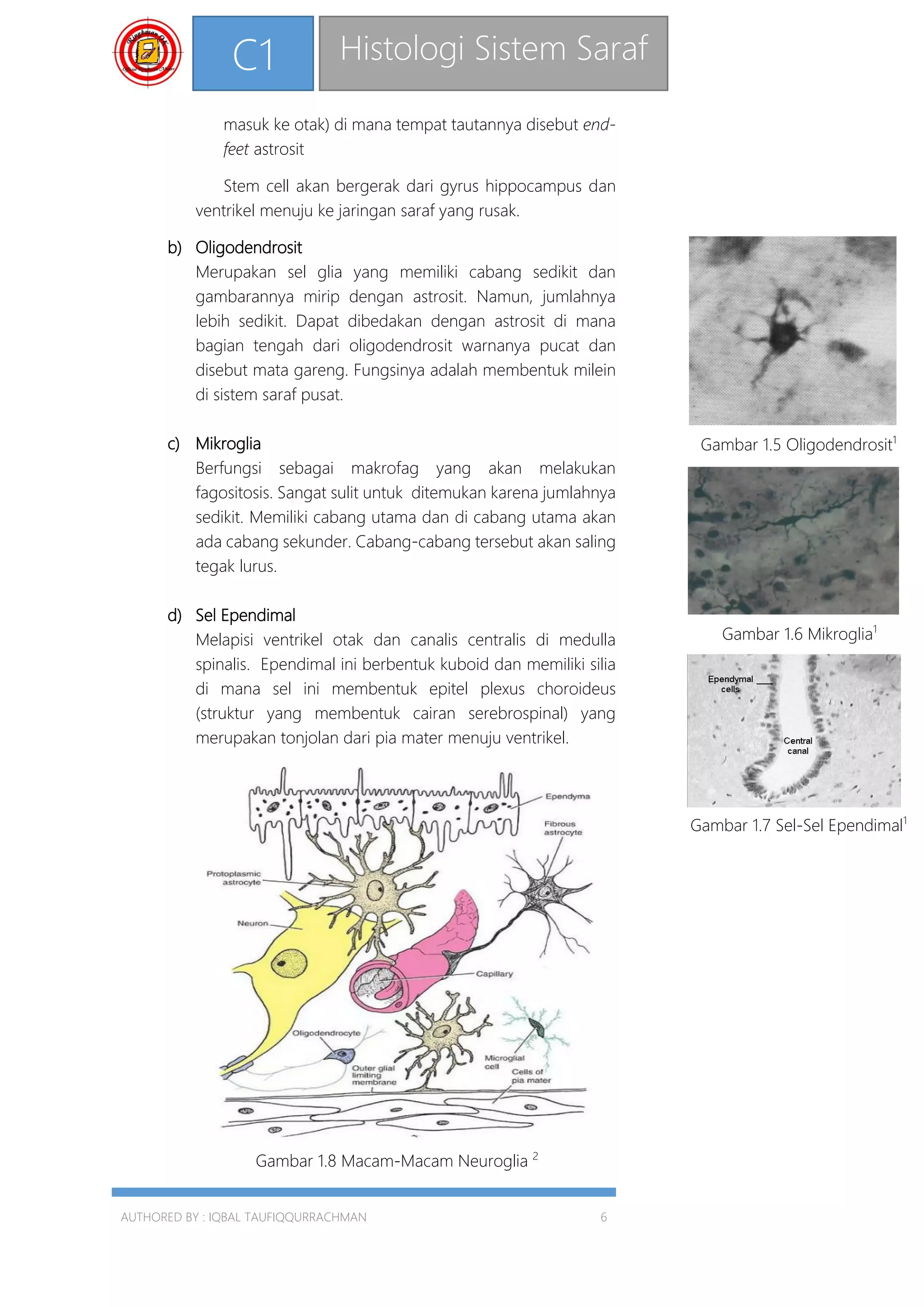 C1 Histologi Sistem Saraf | PDF