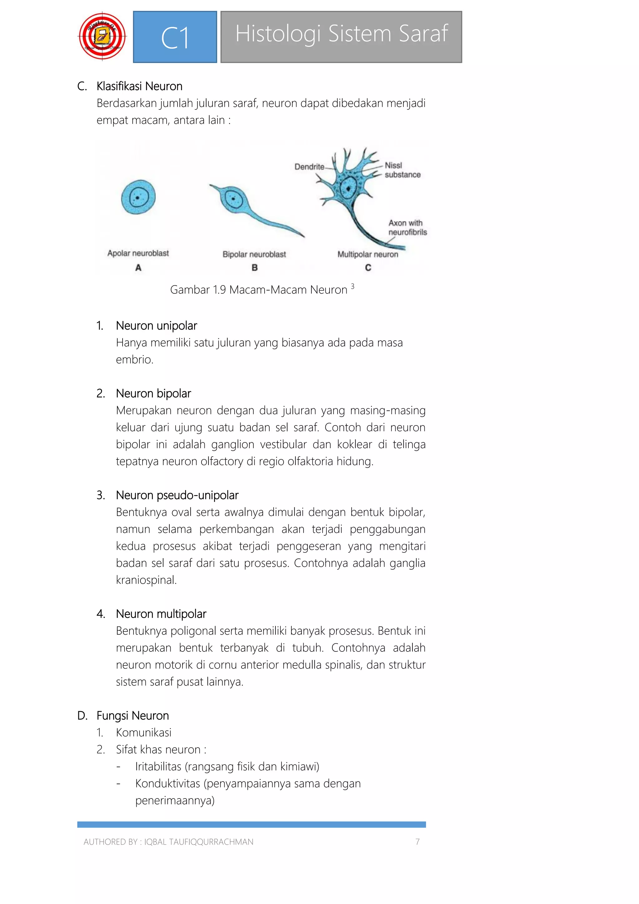 C1 Histologi Sistem Saraf | PDF