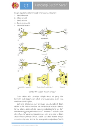 C1 Histologi Sistem Saraf | PDF