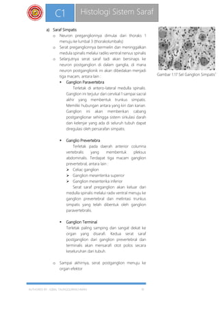 C1 Histologi Sistem Saraf | PDF