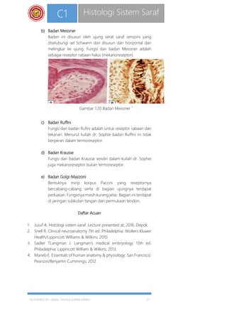 C1 Histologi Sistem Saraf | PDF