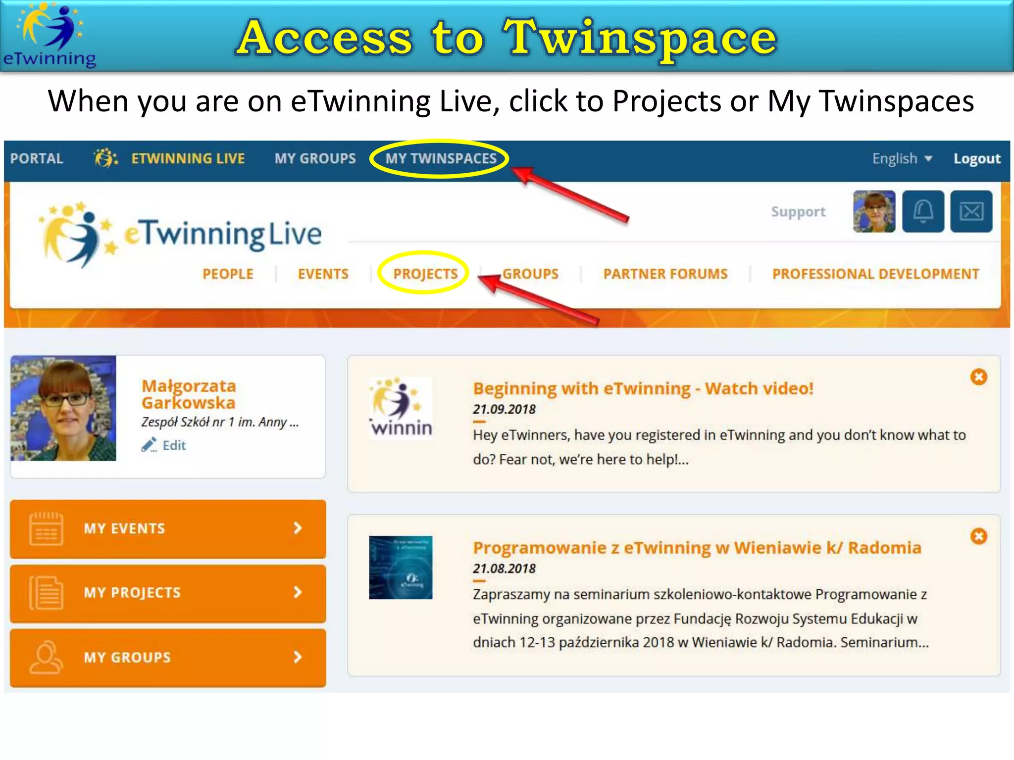 C1 How to work on Twinspace | PPTX