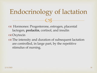 C1 lecture Breast complementary feeding.pptx