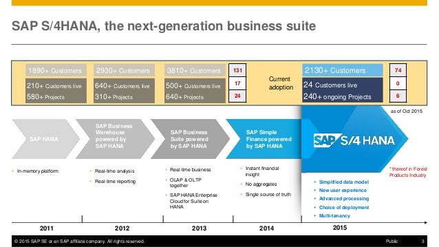 sap s4 hana introduction and outlook
