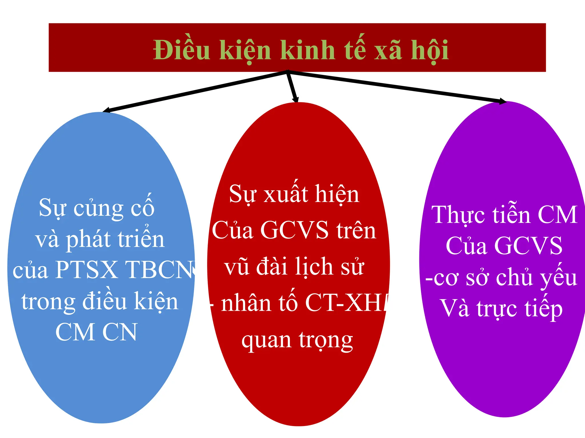 C1 TH CQ 19.------------------------pptx | PPTX