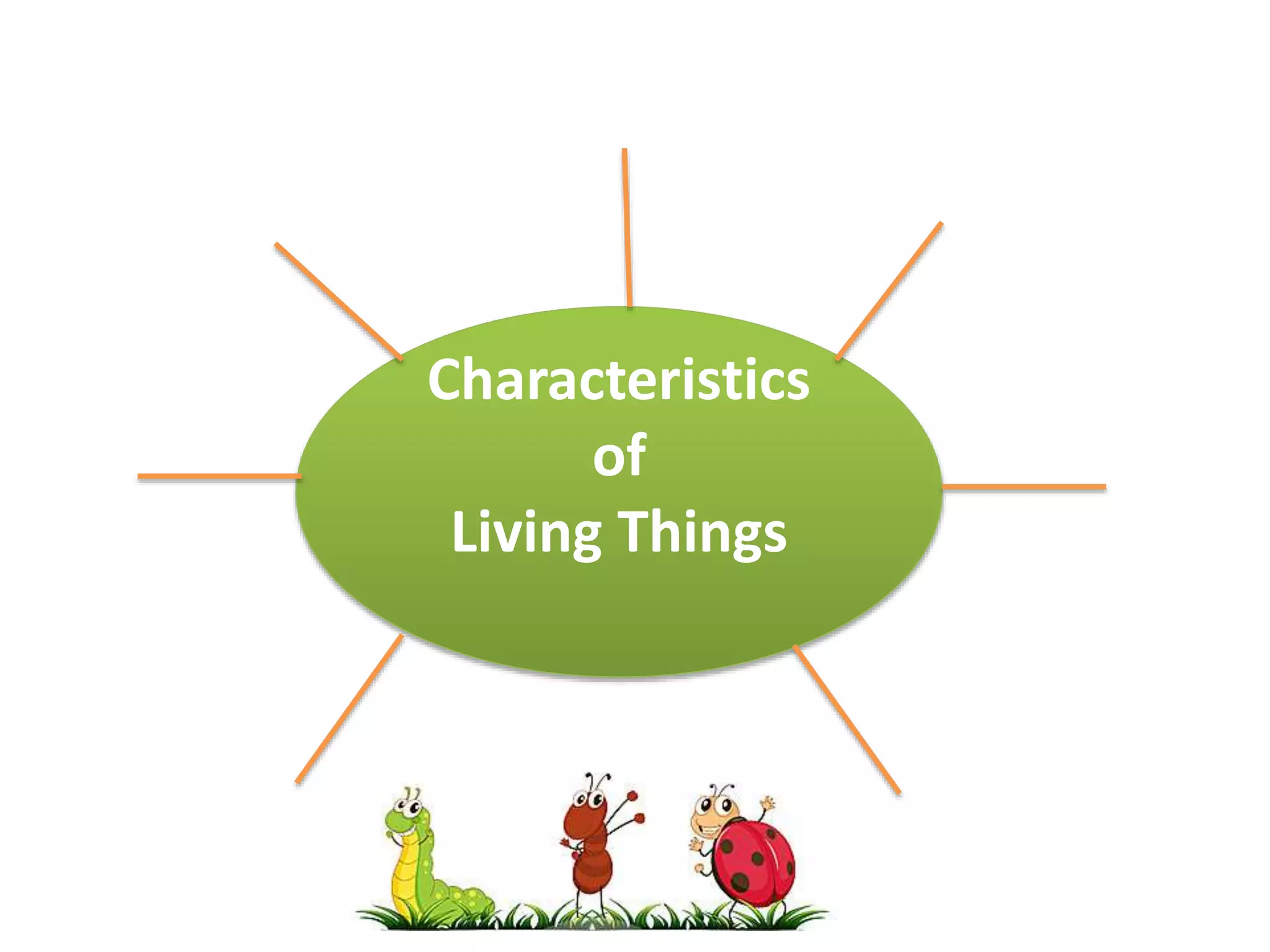 Characteristics of living things | PPTX | Brain and Nervous System ...