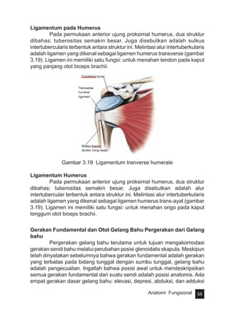 FUNGSI ANATOMI.pdf