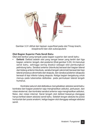 FUNGSI ANATOMI.pdf