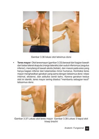 FUNGSI ANATOMI.pdf